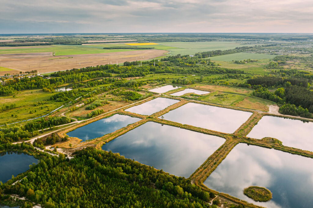Responsible Investing and Partnerships — Palladium