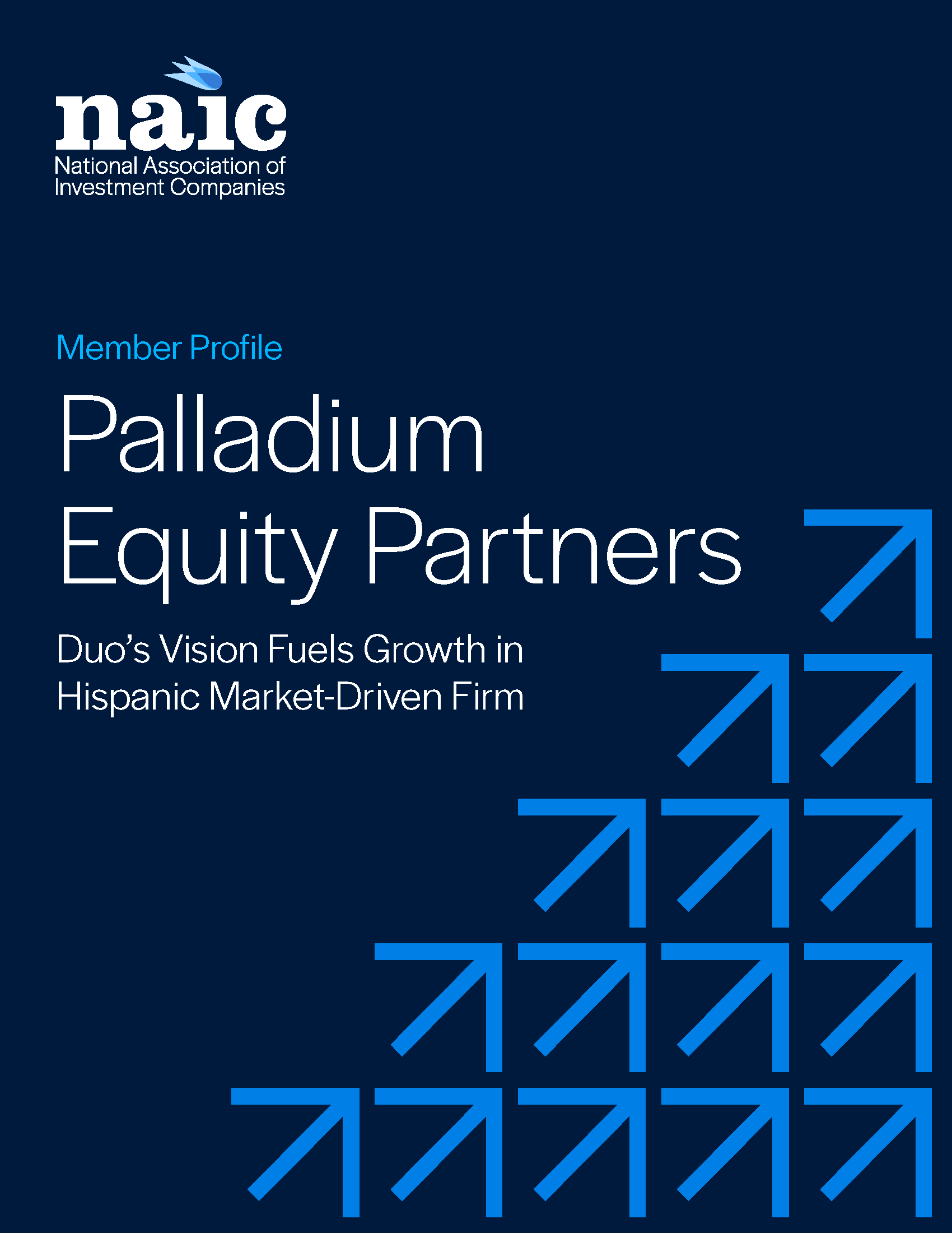 News, Media, Q&A — Palladium